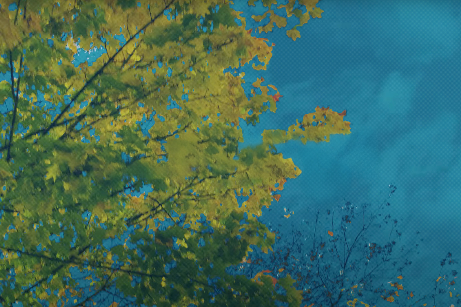 Wellbeing | In Focus | Proximity